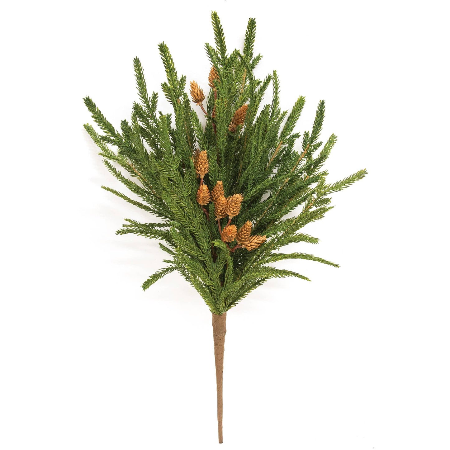 Soft Touch Austrian Pine Bush - 20" – Marcel’s Culinary Experience